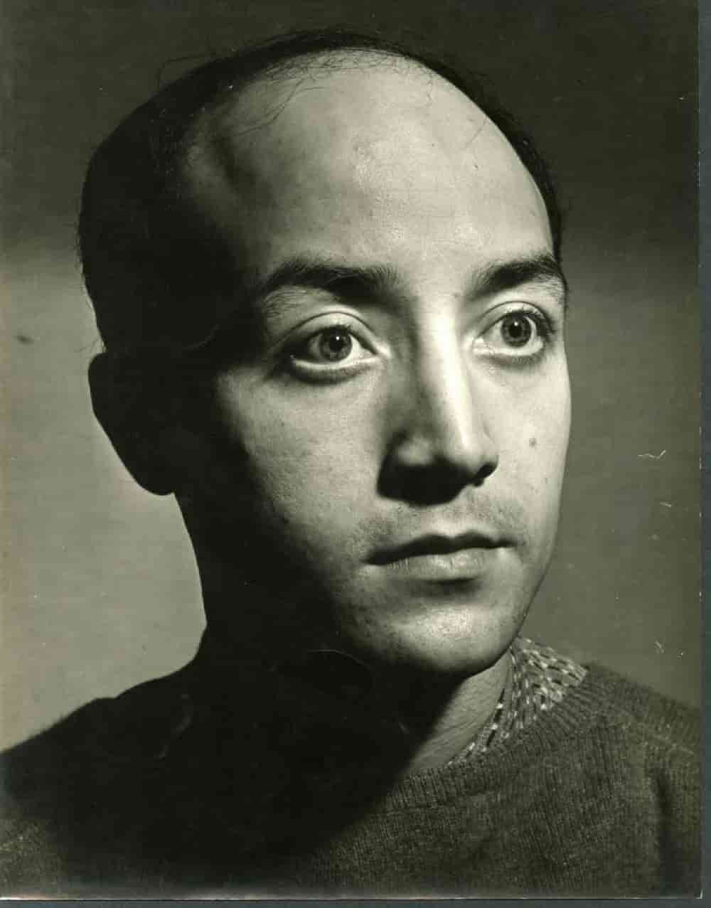 Léonie Gilmour - Land Of The Rising Son